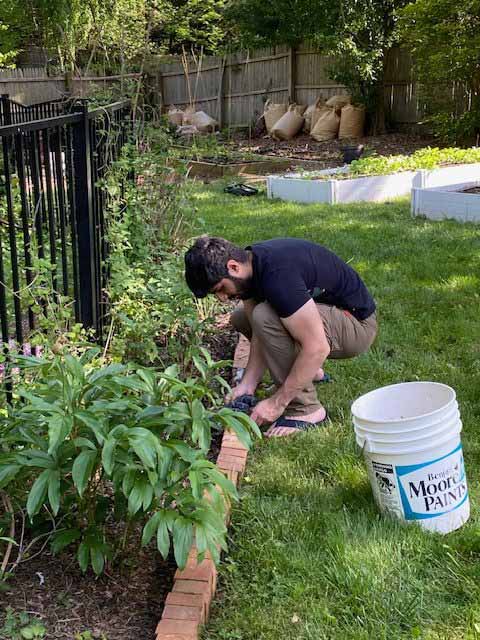STAR Neighborhoods Planted 400 Native Plugs - Sustainable Princeton