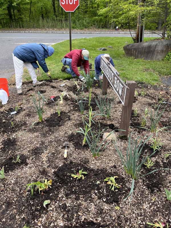 STAR Neighborhoods Planted 400 Native Plugs - Sustainable Princeton