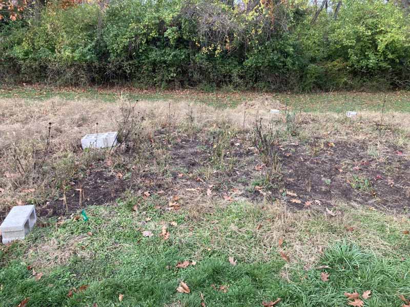 Explore Princeton’s Newest Native Meadow - Sustainable Princeton