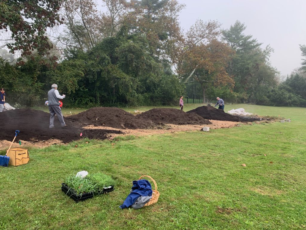 Explore Princeton’s Newest Native Meadow - Sustainable Princeton
