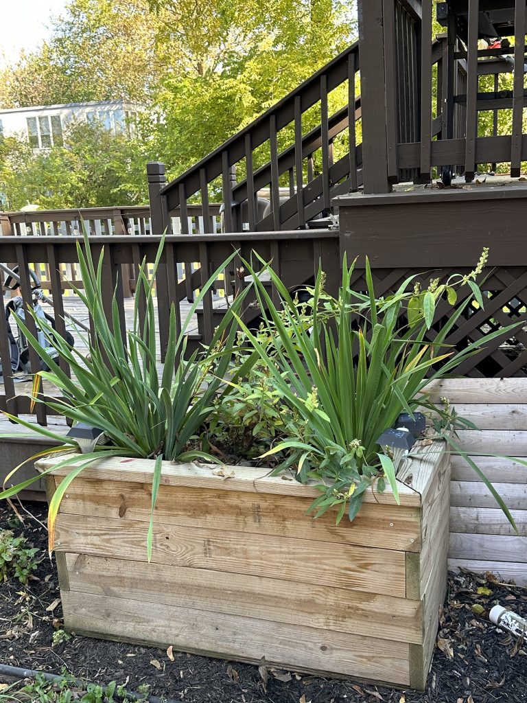 Witherspoon Jackson STAR Neighborhood’s Downspout Planters ...