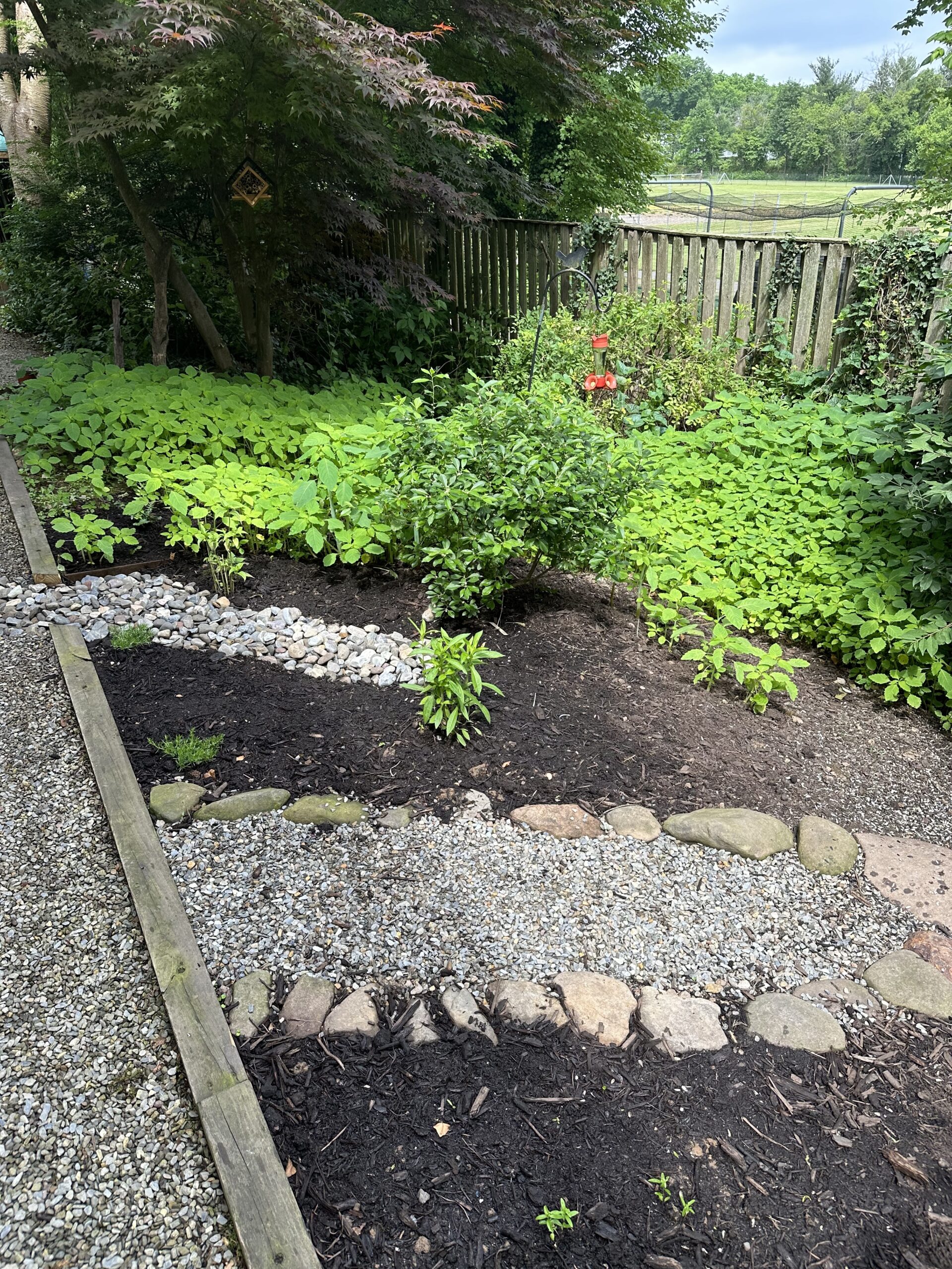 Princeton Neighbors Create a Native Plant Corridor - Sustainable Princeton
