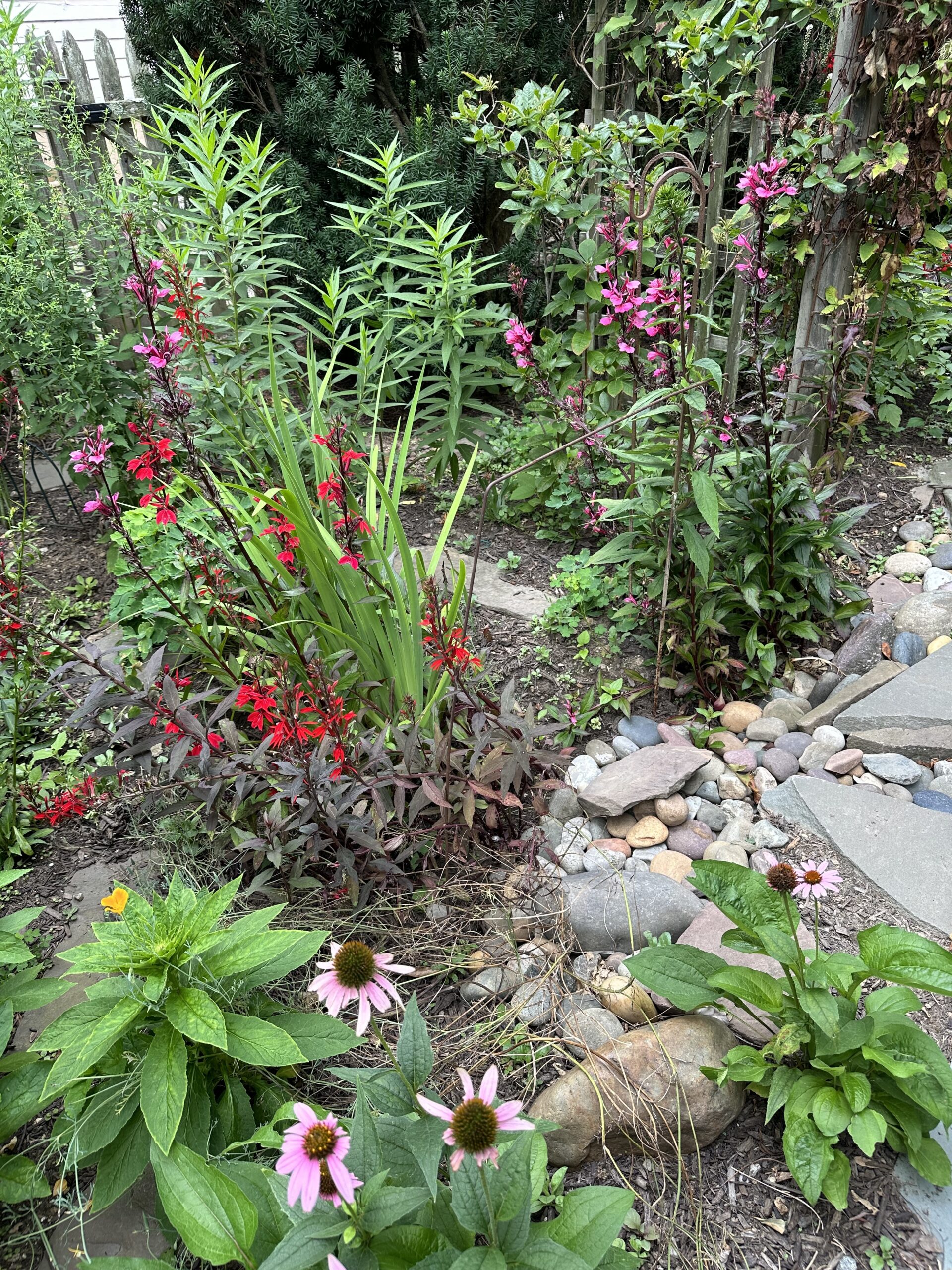 Princeton Neighbors Create a Native Plant Corridor - Sustainable Princeton