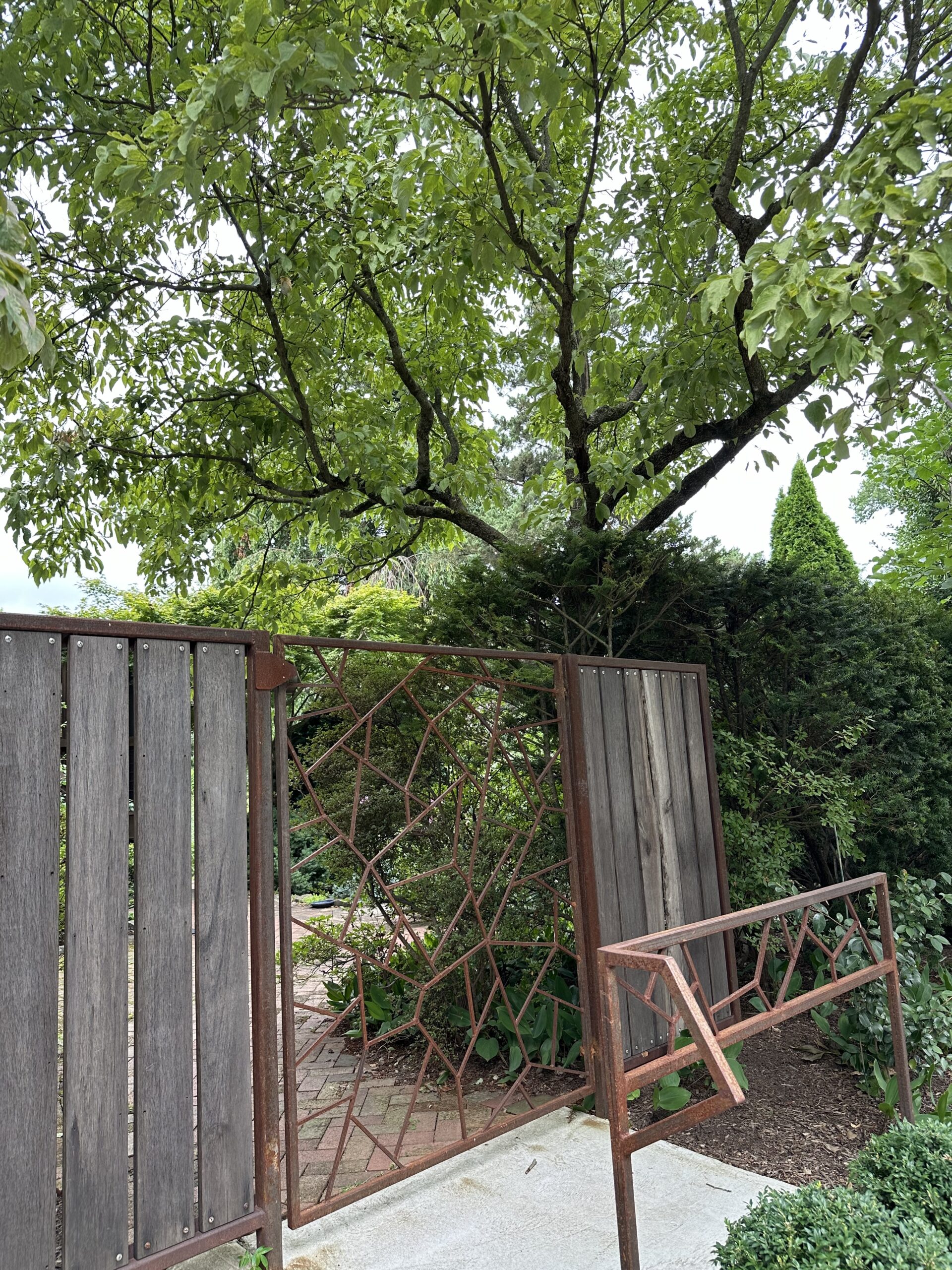 Princeton Neighbors Create a Native Plant Corridor - Sustainable Princeton