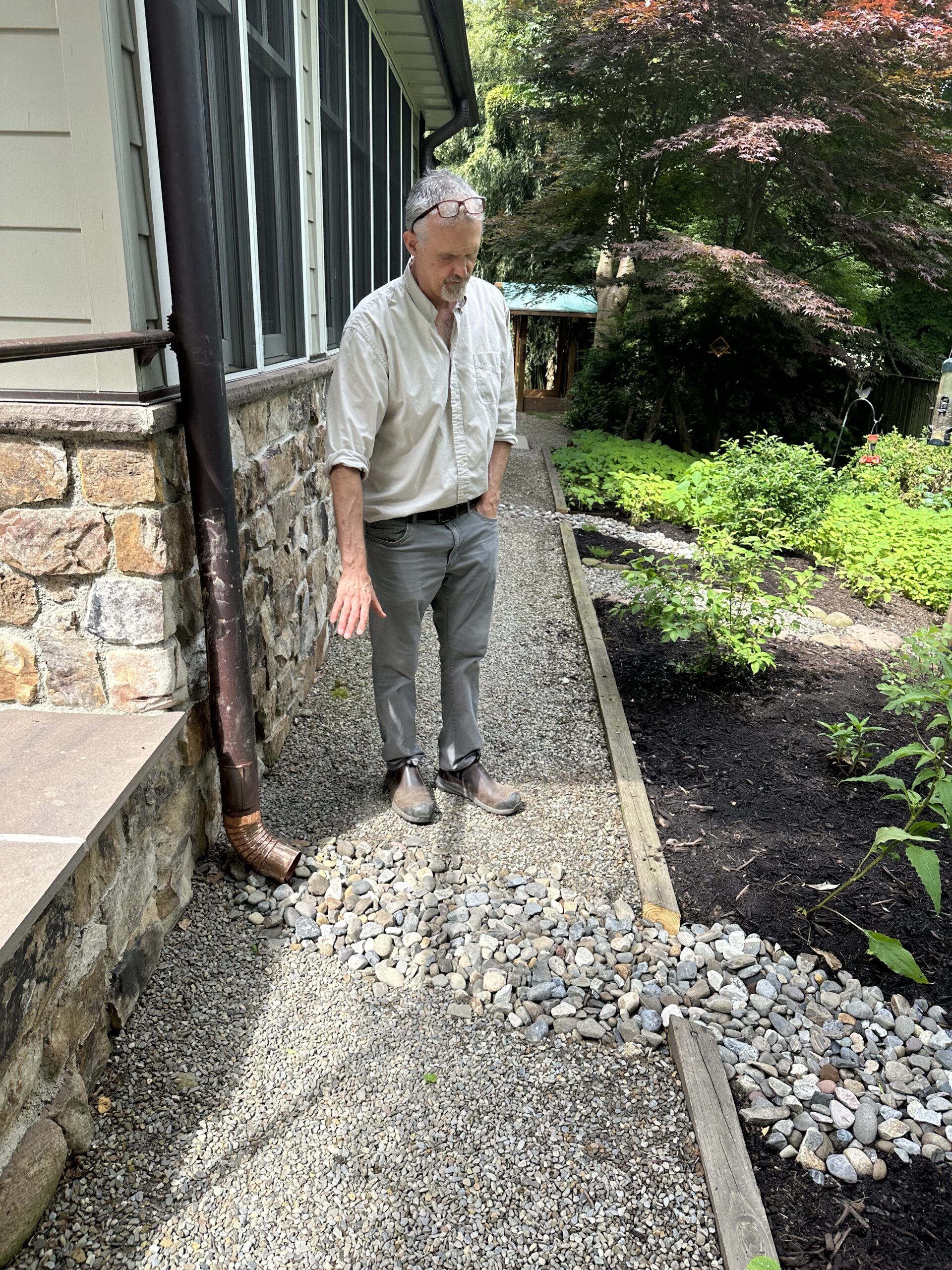 Princeton Neighbors Create a Native Plant Corridor - Sustainable Princeton