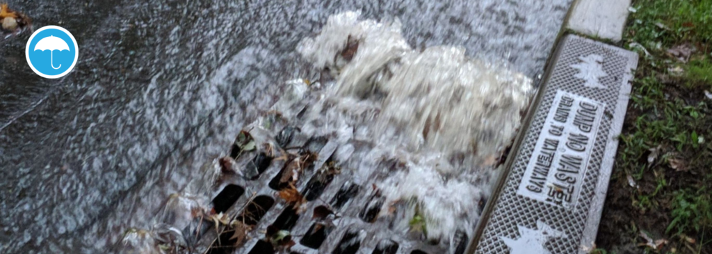 Strengthen Resilience - Sustainable Princeton